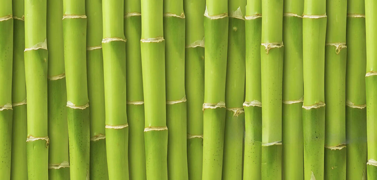 Bamboo: the future of durability and sustainability – Slashop.Inc